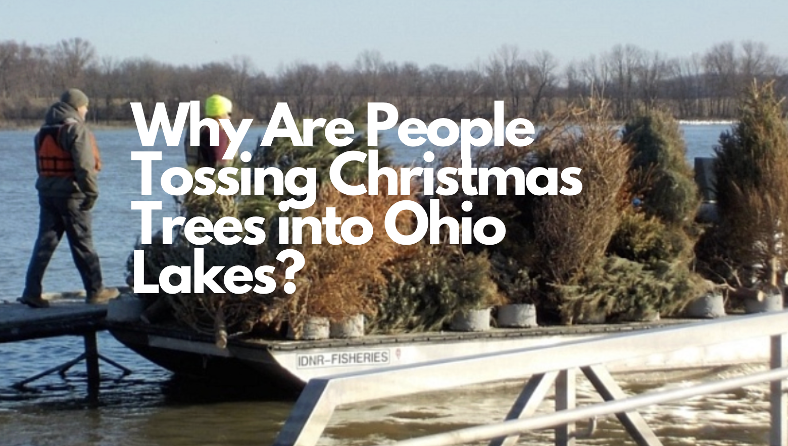 Why Are People Tossing Christmas Trees into Ohio Lakes? - Ohio ...